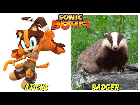 Sonic Boom Characters in Real Life Animals