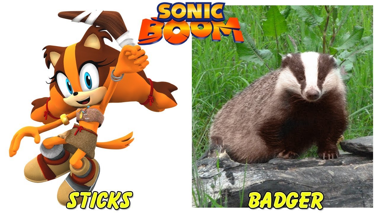 Sonic Boom Characters in Real Life Animals - YouTube