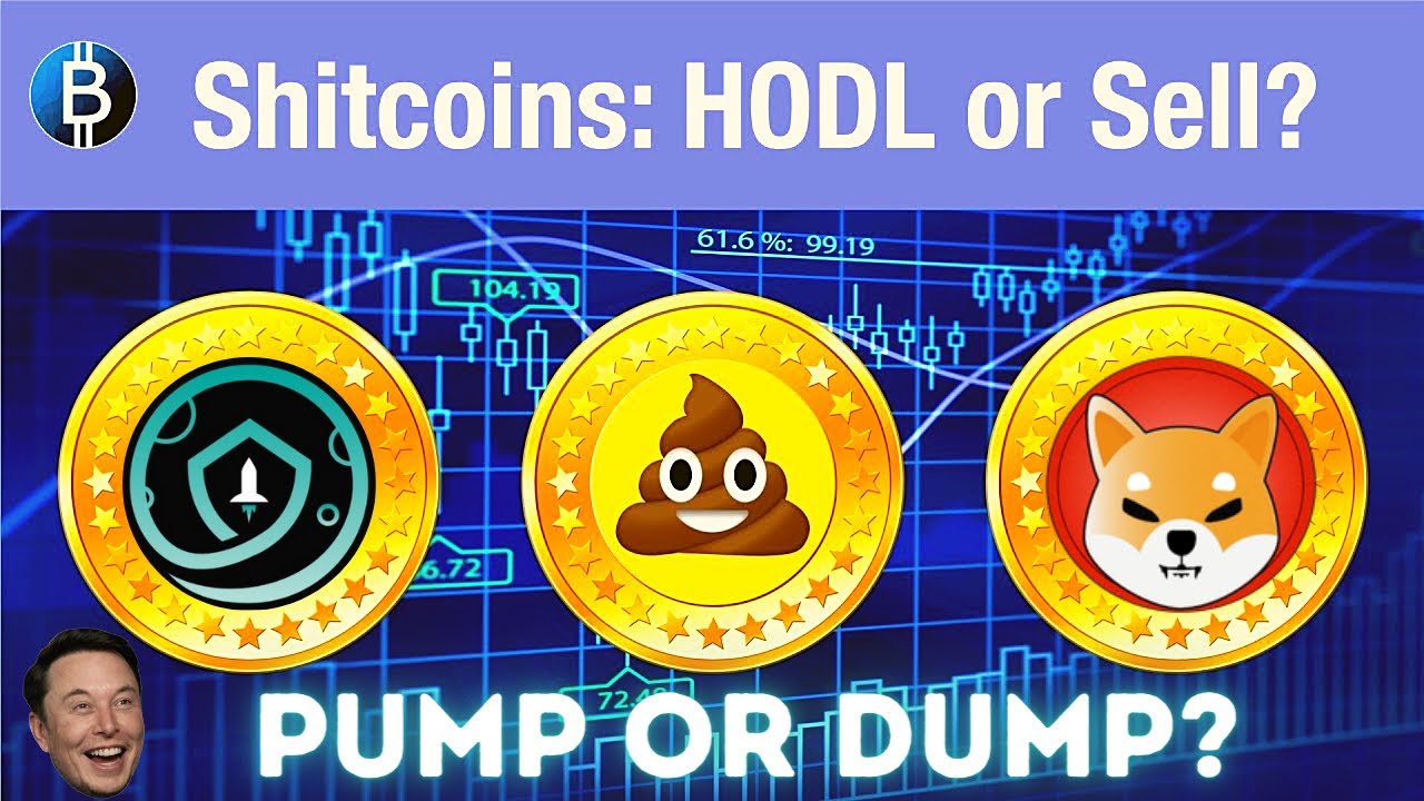 Shitcoin cryptos vs Fundamental cryptocurrencies - 1000x alt coins 2021 ...