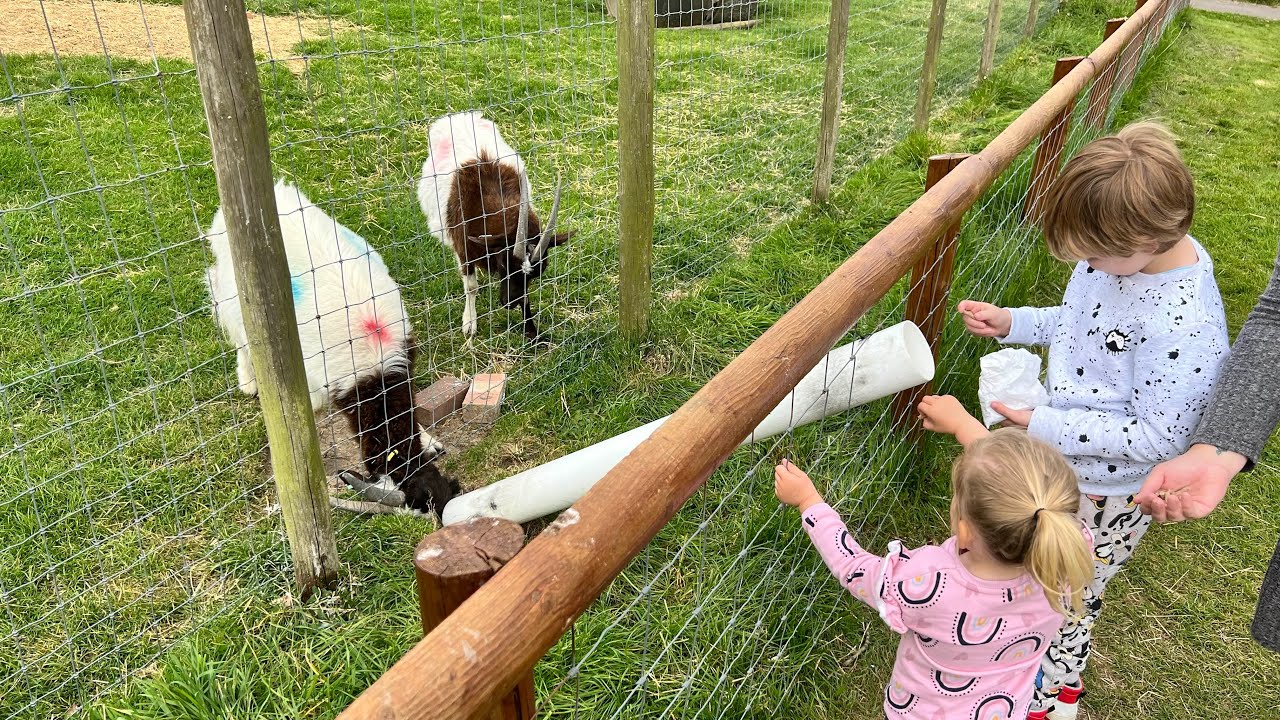 A day at Hadleigh Farm, Essex - YouTube