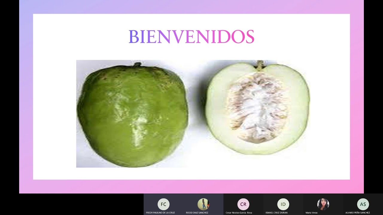 trabajo de fruticultura el granadillo - YouTube