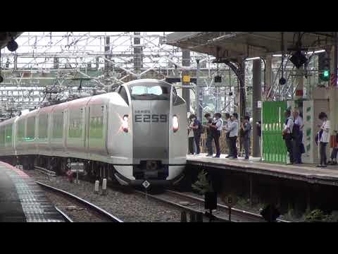 E259系N'EX 津田沼通過 - YouTube