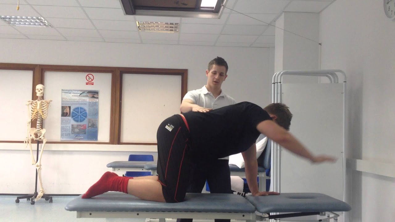 PNF core stability - YouTube