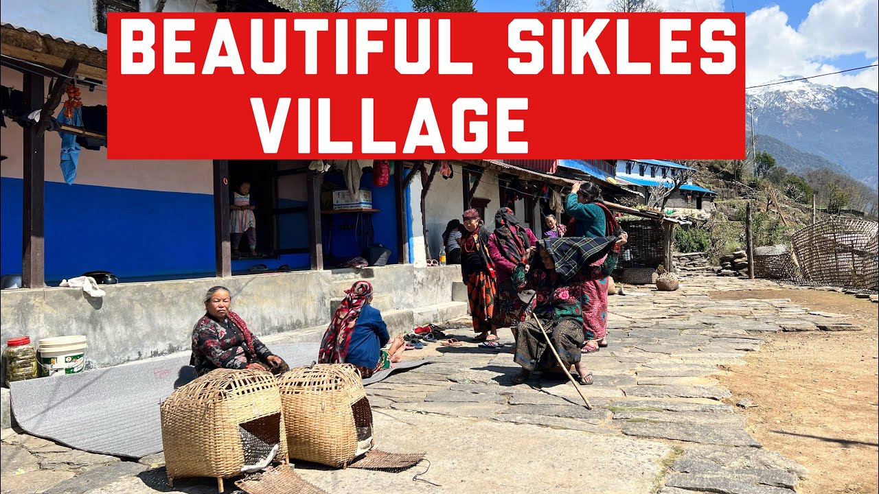 THE MOST BEAUTIFUL VILLAGE OF NEPAL 🇳🇵SIKLES VILLAGE || YOU MUST VISIT ...