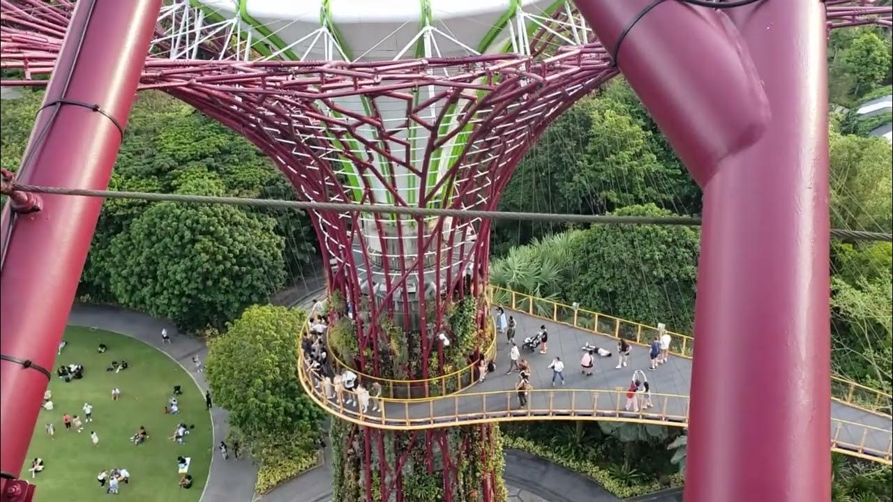 Supertree Observatory Space Peripheral Walkway View, Supertrees, OCBC Skyway, Singapore, March ...