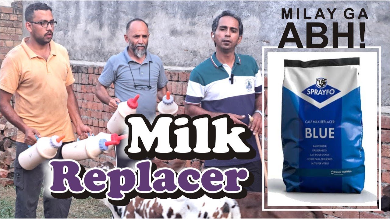 Milk Replacer - Best Feed for wachian kattay aur bakrian @DrMuzzammil ...
