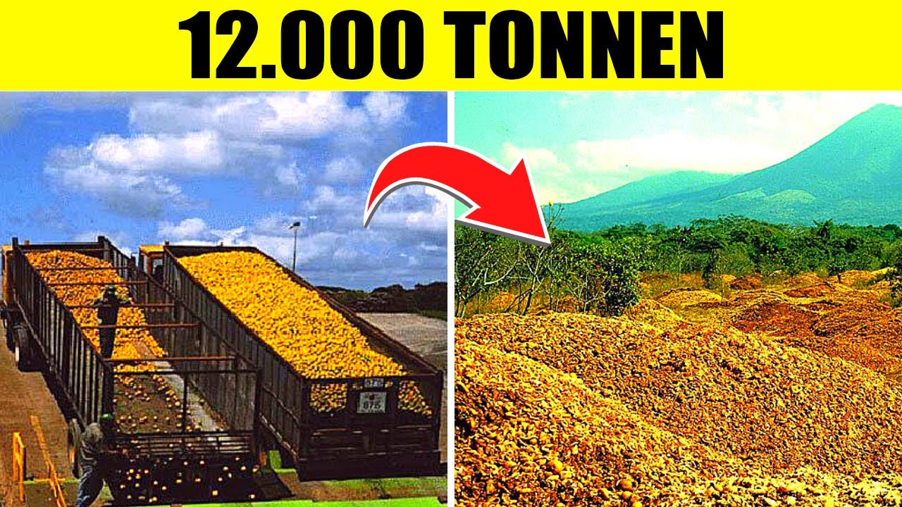 Sie haben 12 000 Tonnen Orangenschalen im Jungle entsorgt, 16 Jahre ...