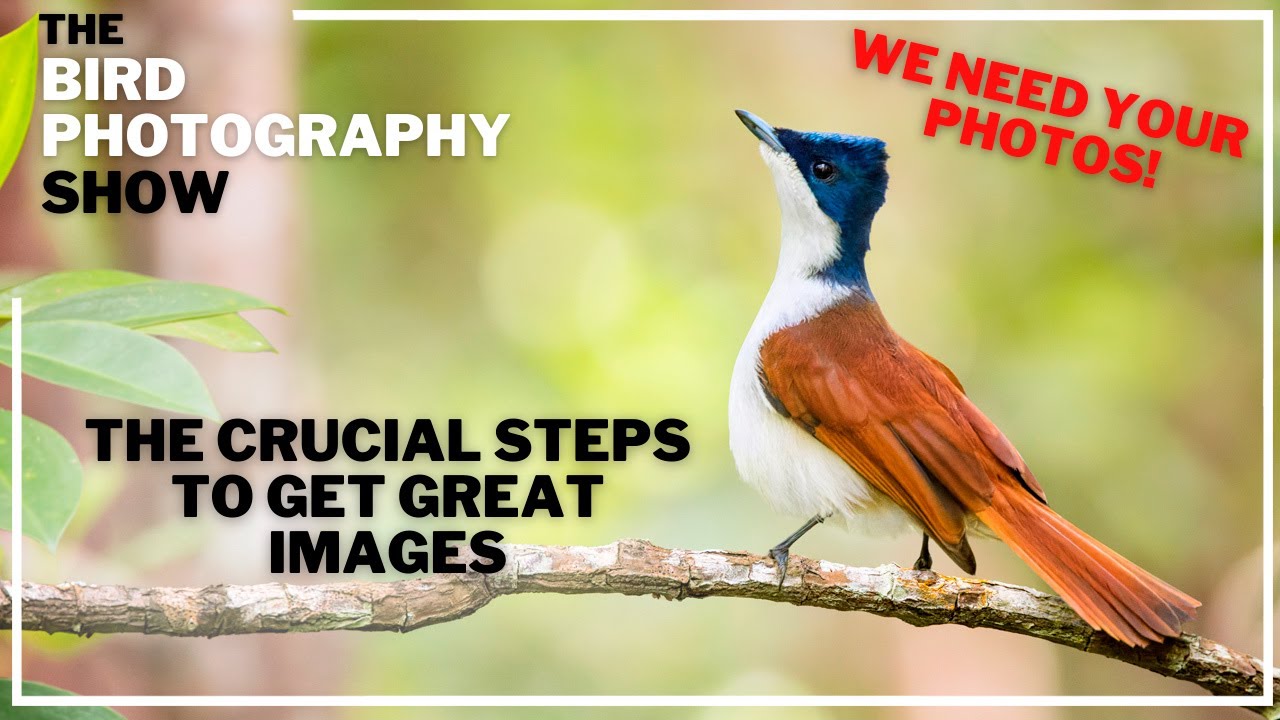 We Need YOUR Photos! | The CRUCIAL Steps To Get GREAT Images ...
