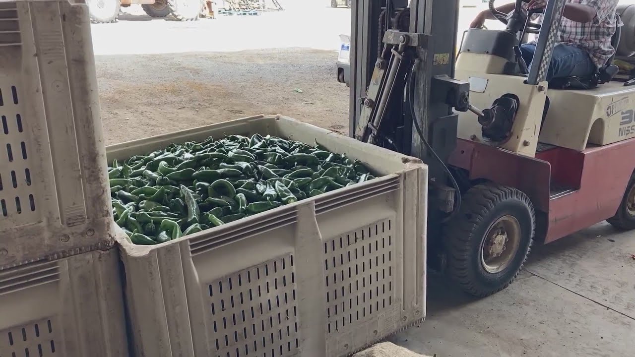 New Mexico Department of Agriculture: Ag production up in the state ...