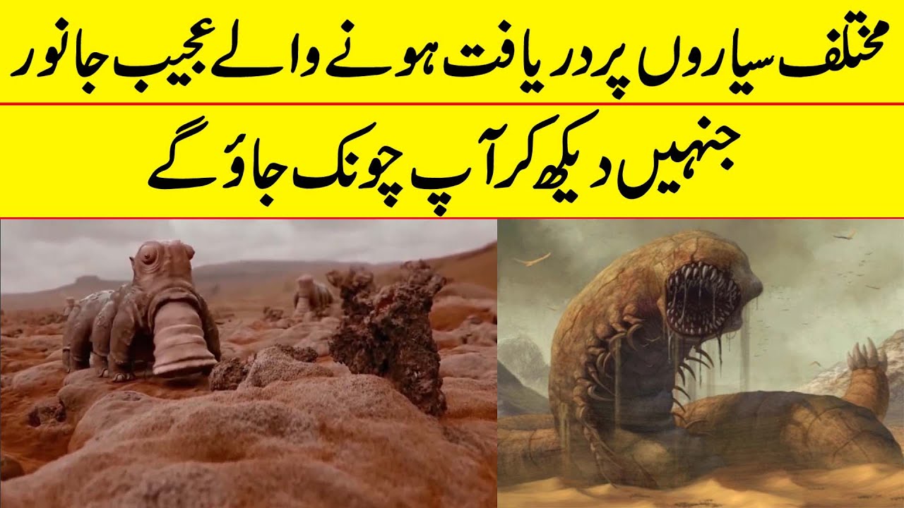 NASA Will See Animals On Different Planets | If Tv - YouTube