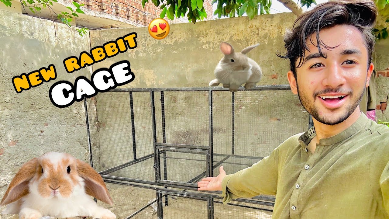 How to make rabbit house | Rabbit house | hamry mini zoo ma rabbit ...