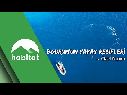 ÖZEL YAPIM | BODRUM'UN YAPAY RESİFLERİ