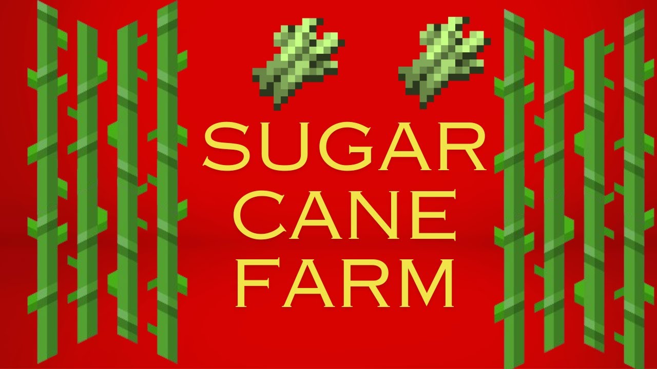 Easy Sugar Cane Farm | Minecraft - YouTube