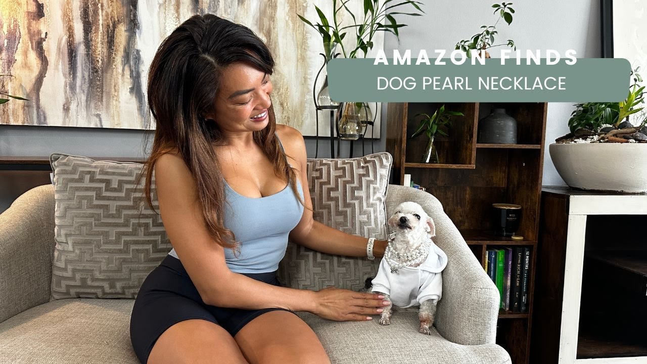 Amazon Find: Hicarer 2 Pieces Small Dog Cat Pearl Collars - YouTube