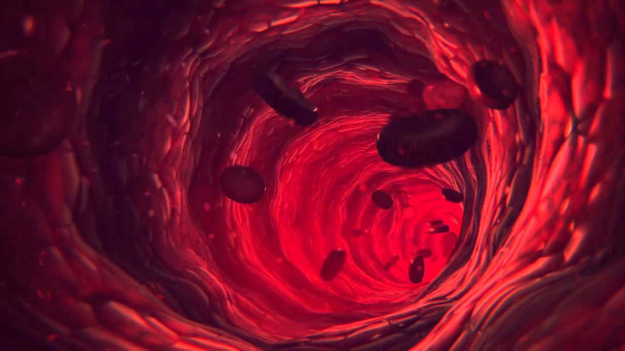 Blood Animation Test - YouTube