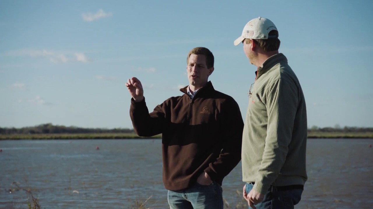 Born and Raised - YouTube