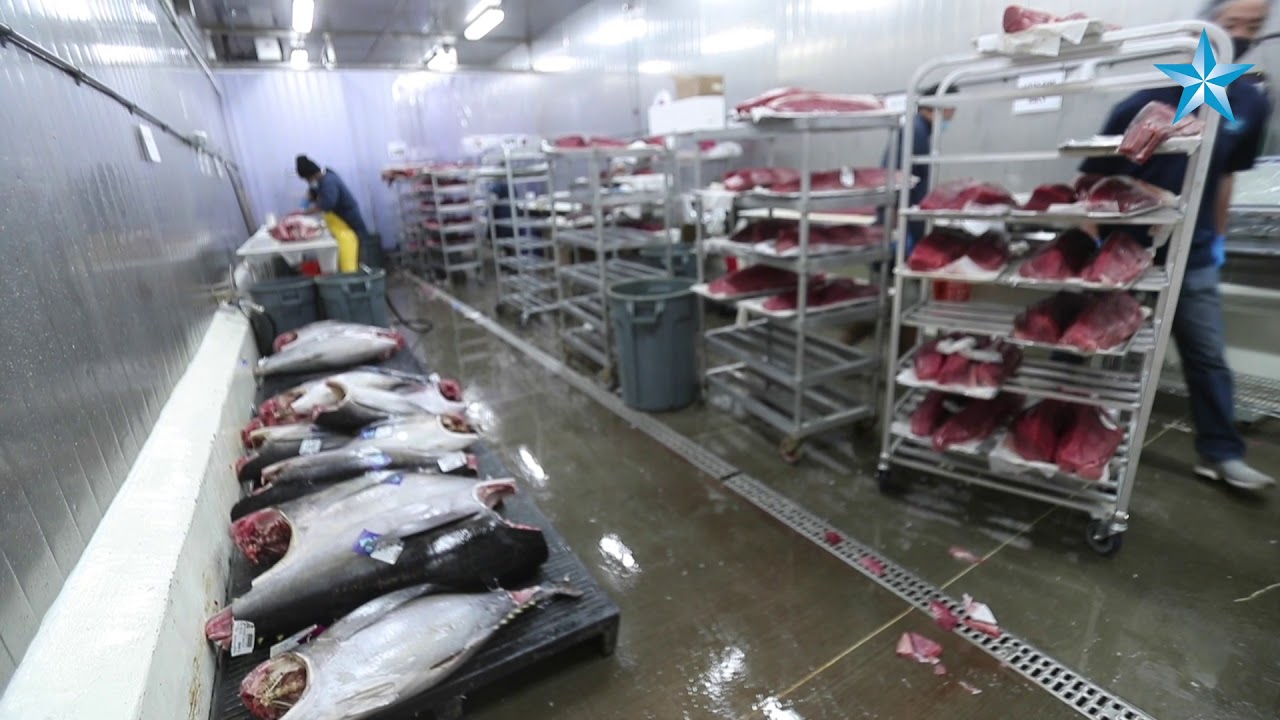 Fresh Island Fish offers drive-through sales to keep fishermen working ...