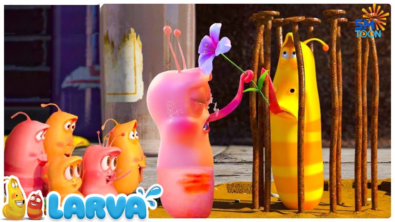 Larvas 2022💦 Por Favor Perdoname - Peliculas Completas en Español - YouTube