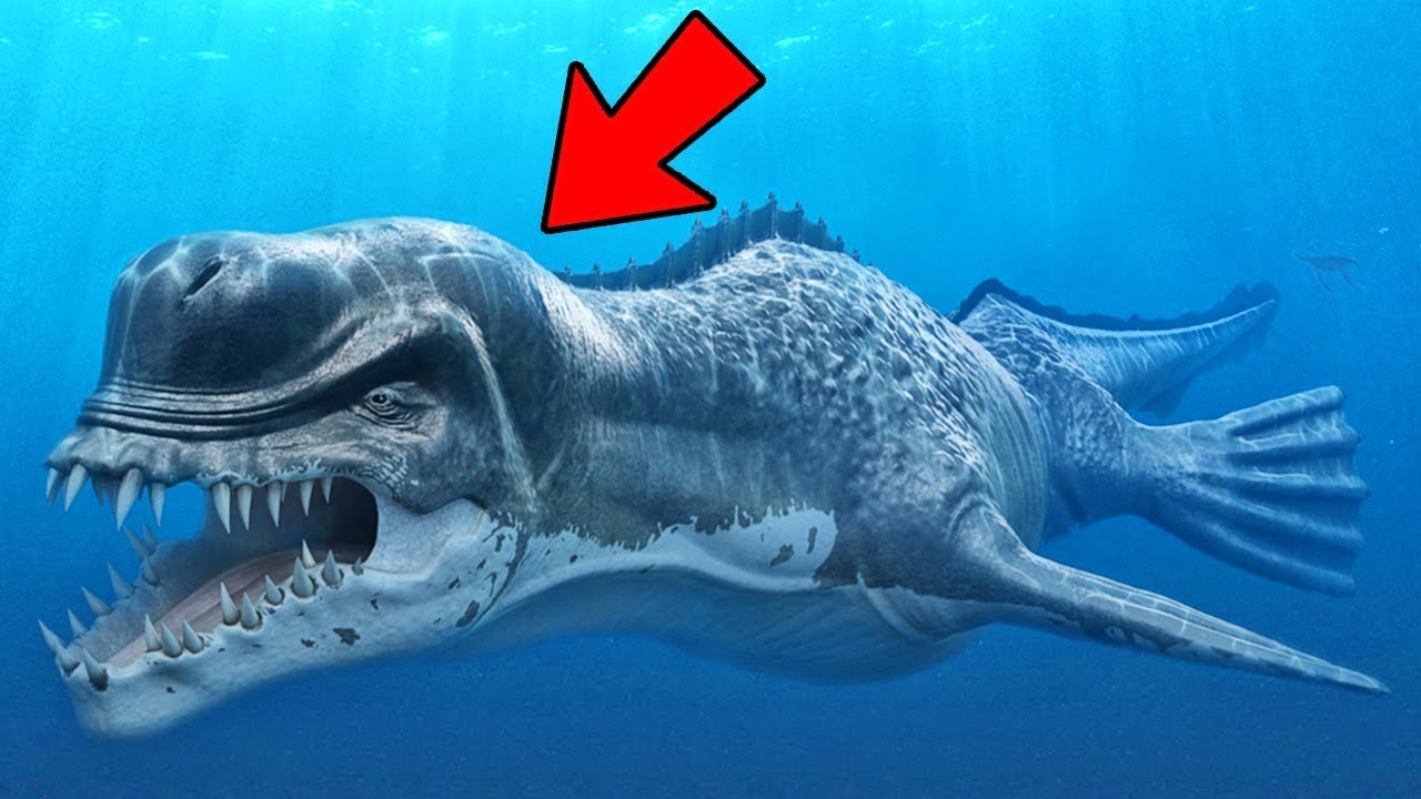 5 creature marine più spaventose ora estinte - YouTube