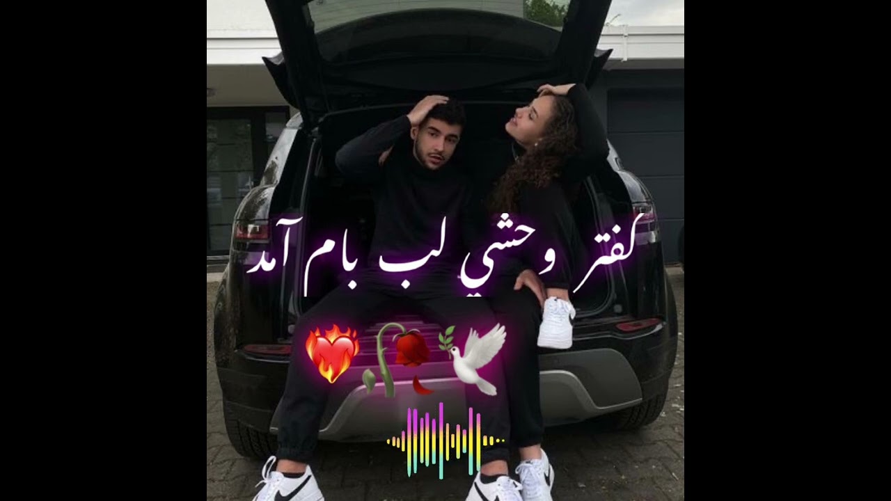 کفتر وحشی گل نظر نظری Youtube