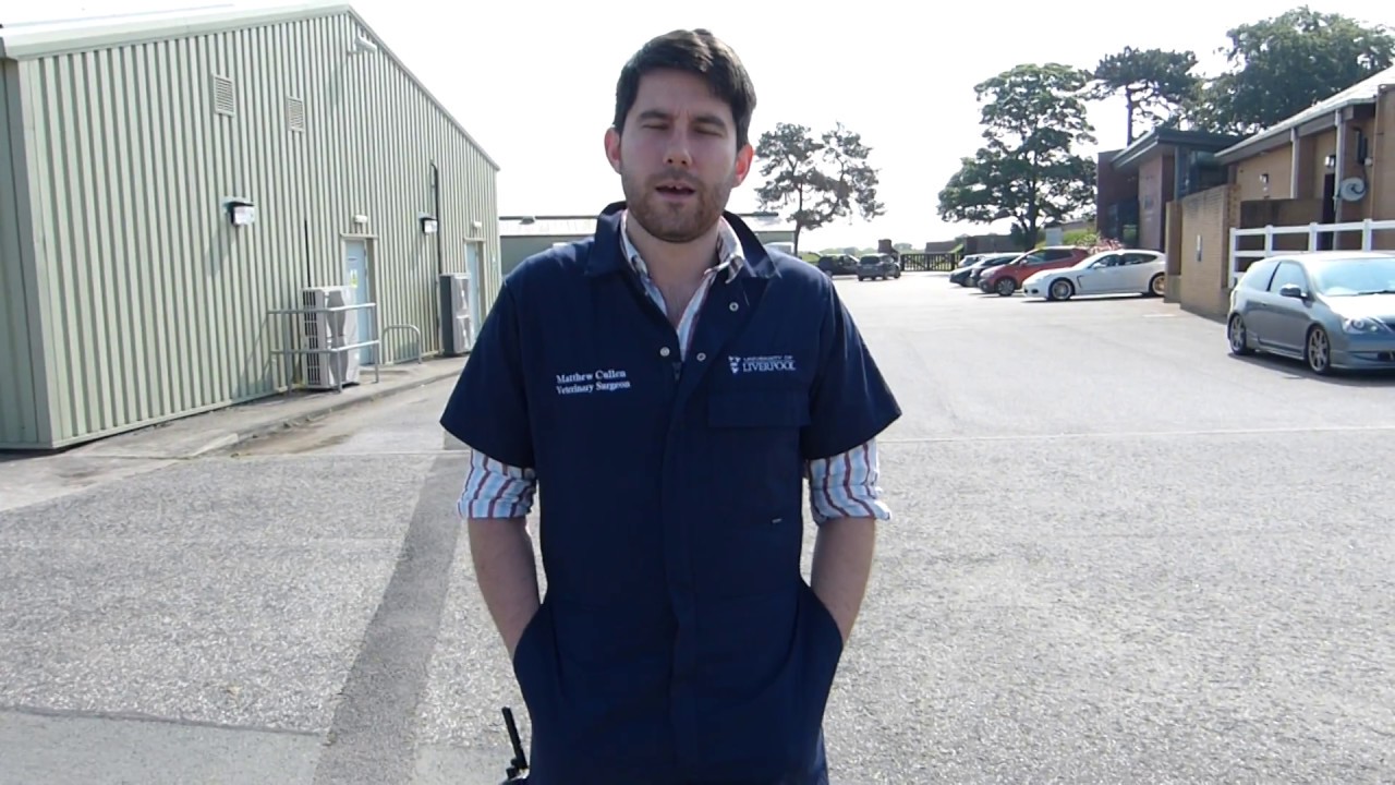 Matt Cullen from the University of Liverpool - YouTube