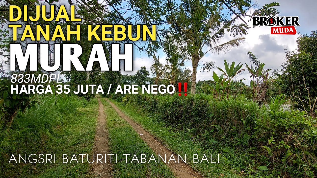 DIJUAL TANAH KEBUN MURAH || DEKAT WISATA ALAM AIR PANAS ANGSRI BATURITI ...