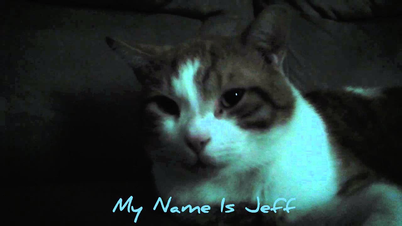Cat says ( my name is jeff ) - YouTube