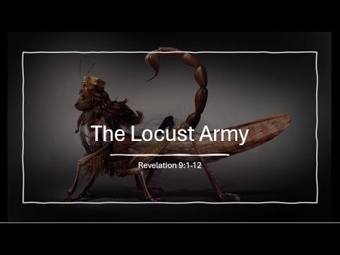 The Locust Army - YouTube
