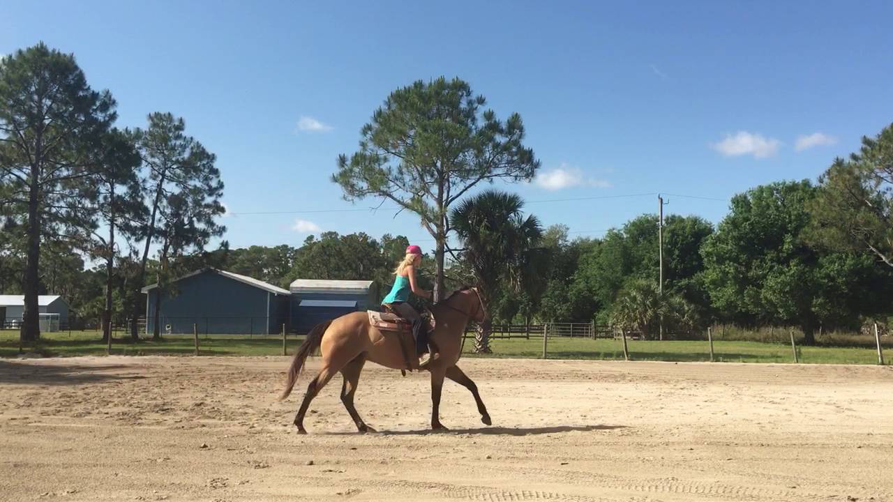 VF famous buck loping circles - YouTube