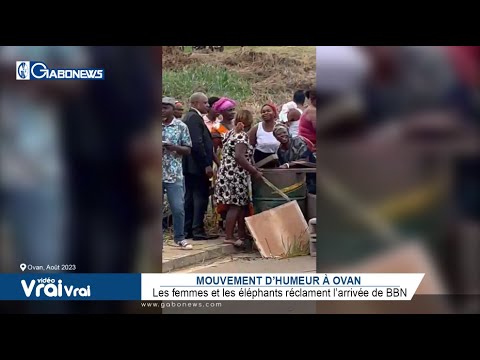 VVV : Les femmes et les éléphants réclament l'arrivée de BBN à Ovan ...