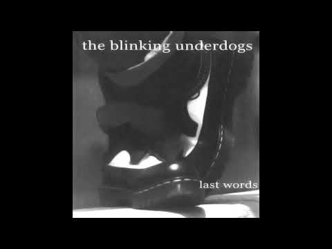 Blinking Underdogs – Last Words (2001, CD) - Discogs