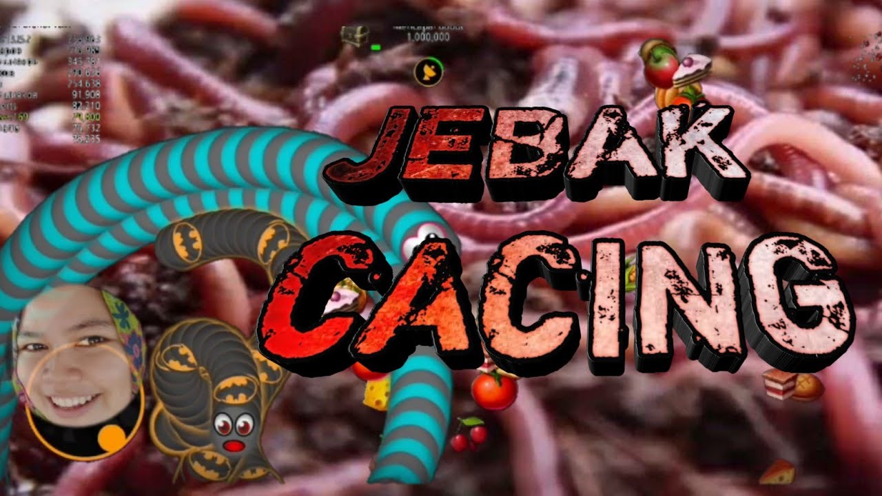 JEBAK CACING BESAR !! CACING KURUS BERAKSI MEMBANTAI DI SEKELILINGNYA ...