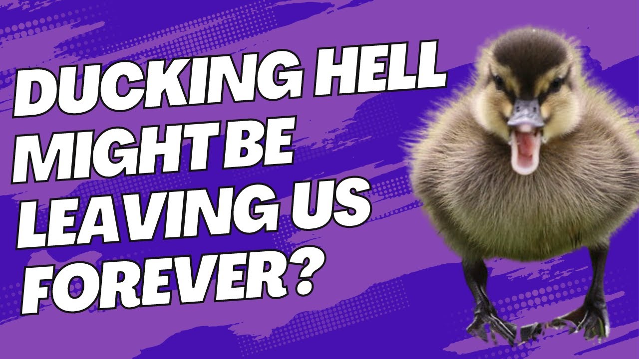 New Phone Updates Meaning Ducking Hell Might Be Leaving Our Texts ...