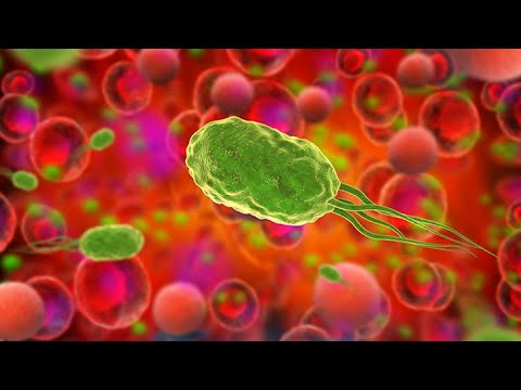 Hangi Şikayetler Helikobakter Pilori'nin Belirtisi Olabilir?