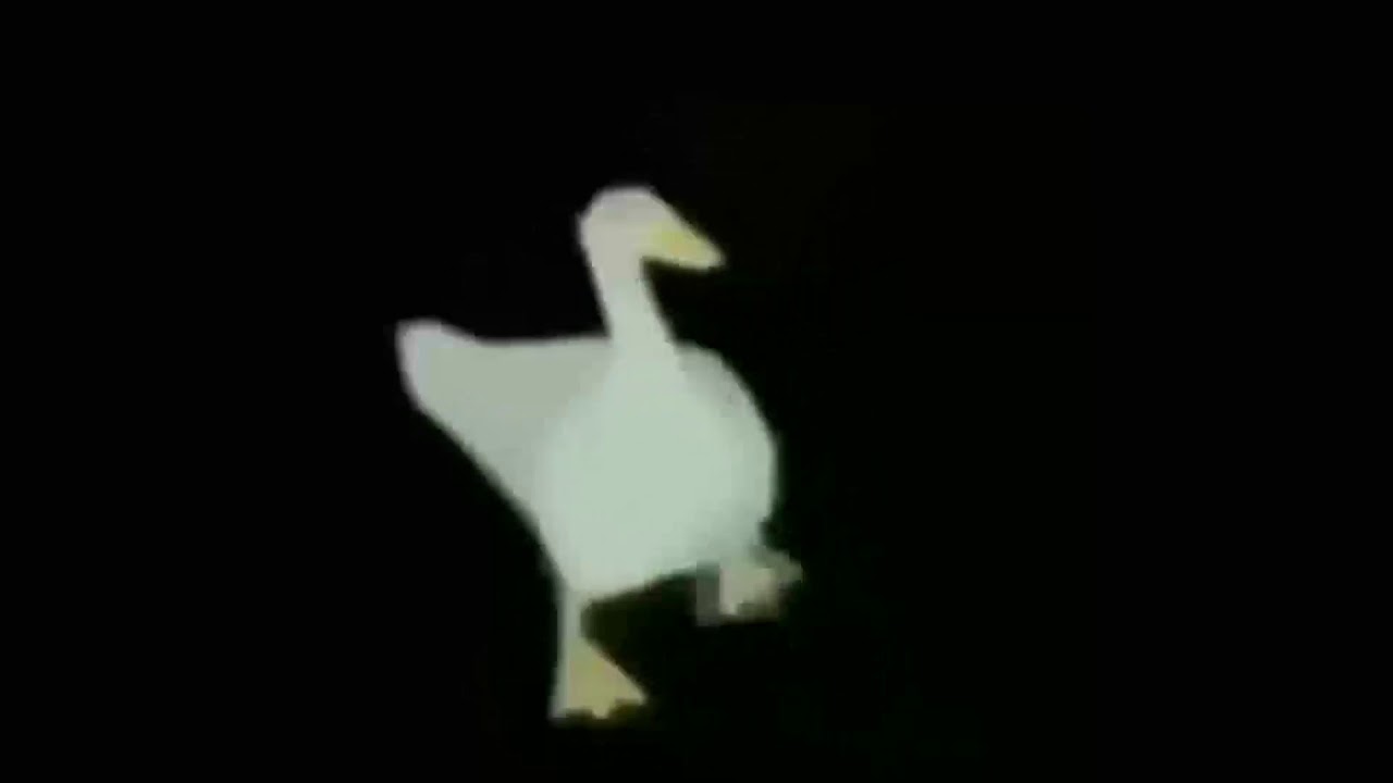 Pato bailando - YouTube