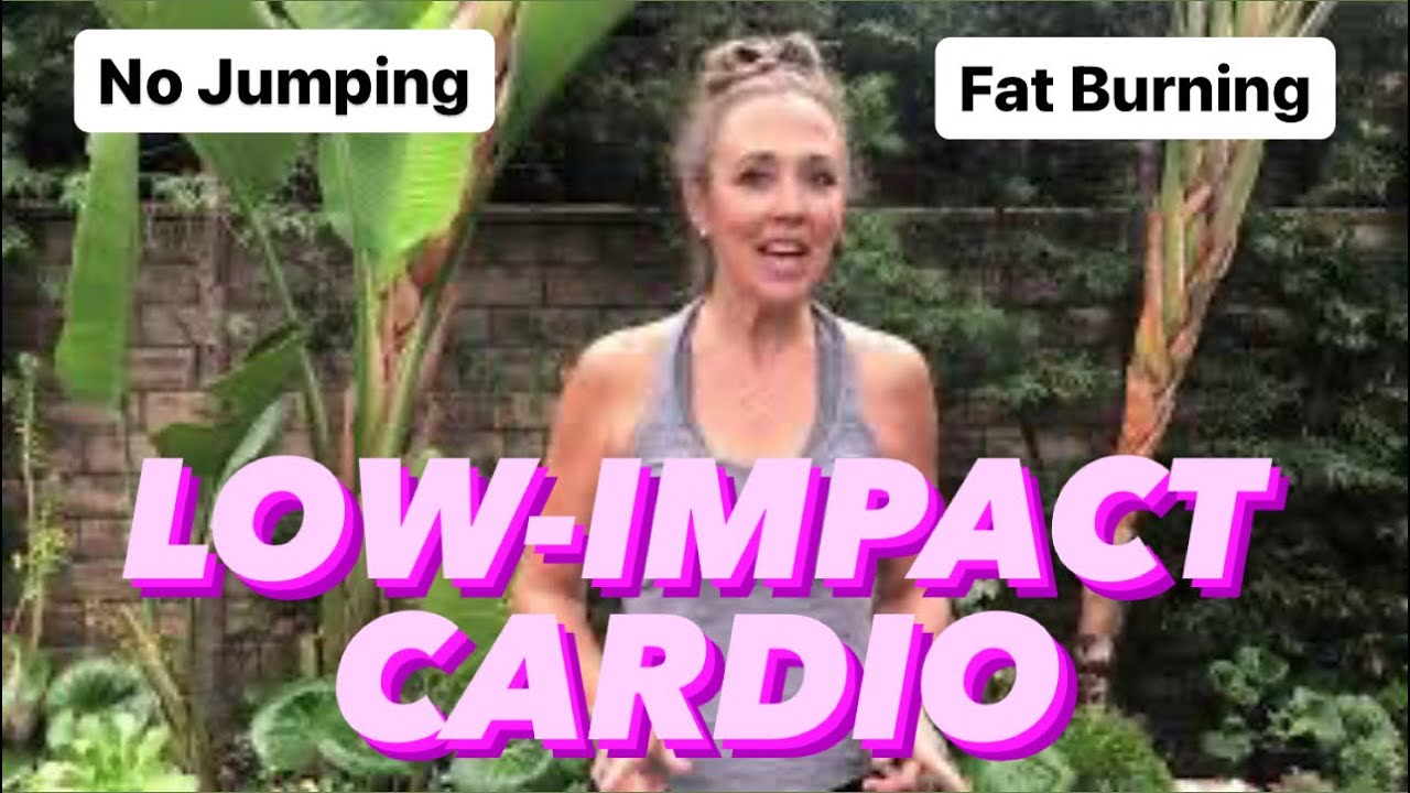 20 Minute Fat Burning, Low-Impact Home Workout. Perfect for Beginners ...