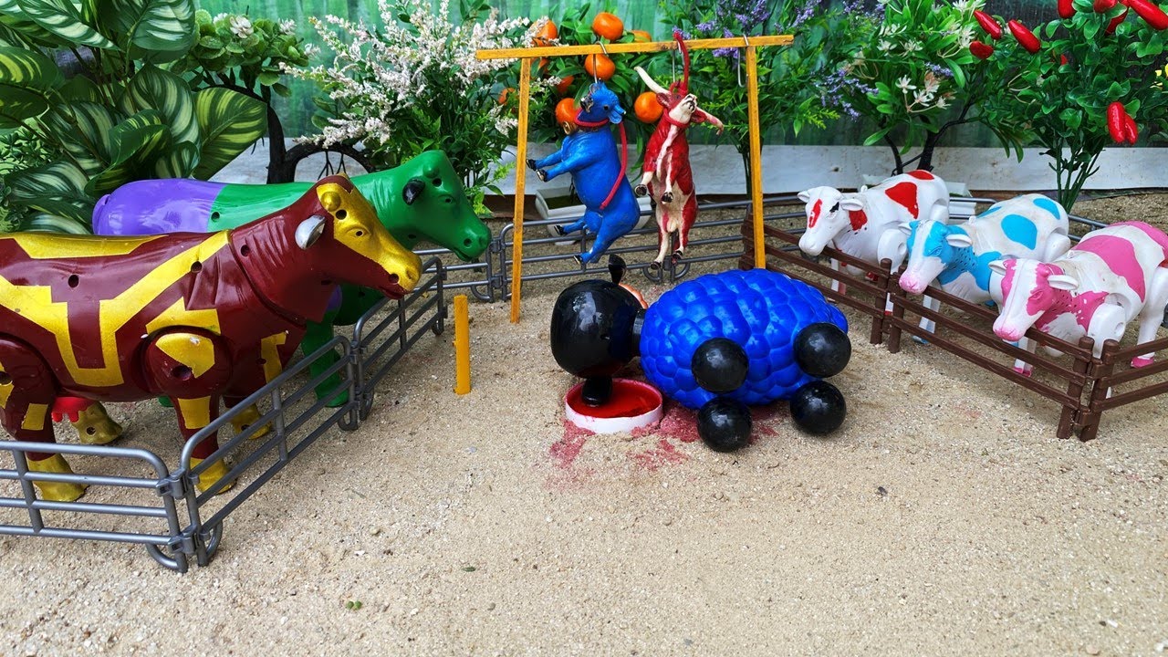Wadidau‼️ Proses Potong Sapi Qurban Proses Pera5 Susu Sapi Simulasi Pera5 Susu Sapi Cow