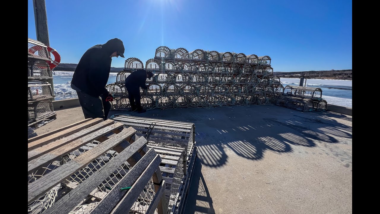 The Life of a Lobster Fisherman - On the Wharf Loading Traps - YouTube