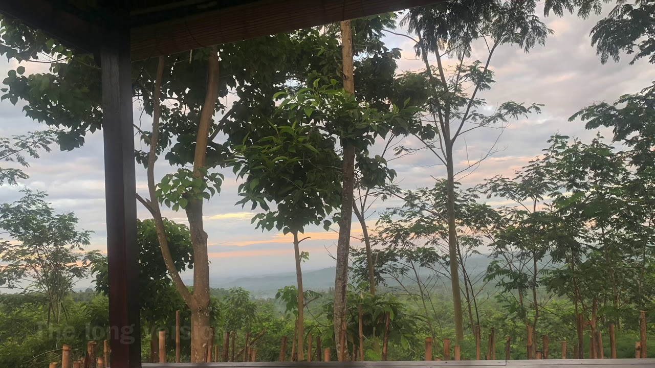 Moving the Bale Bengong - YouTube