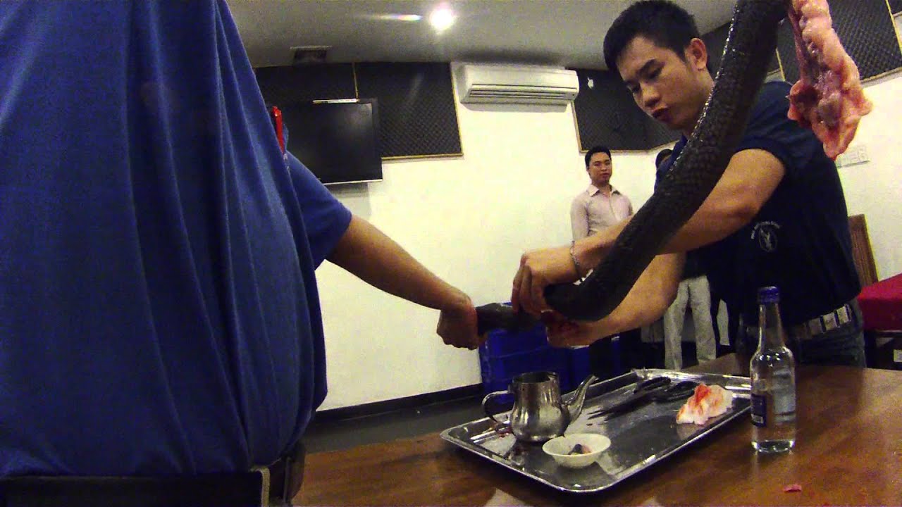 drinking snake blood and bile - YouTube