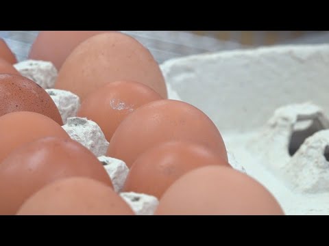 Iowa food co-op keeps egg prices stable amid nationwide 'eggflation' - YouTube