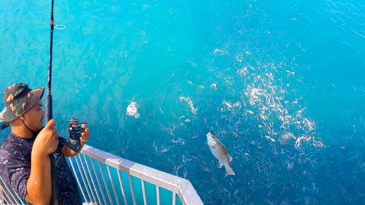 Bermuda Fish