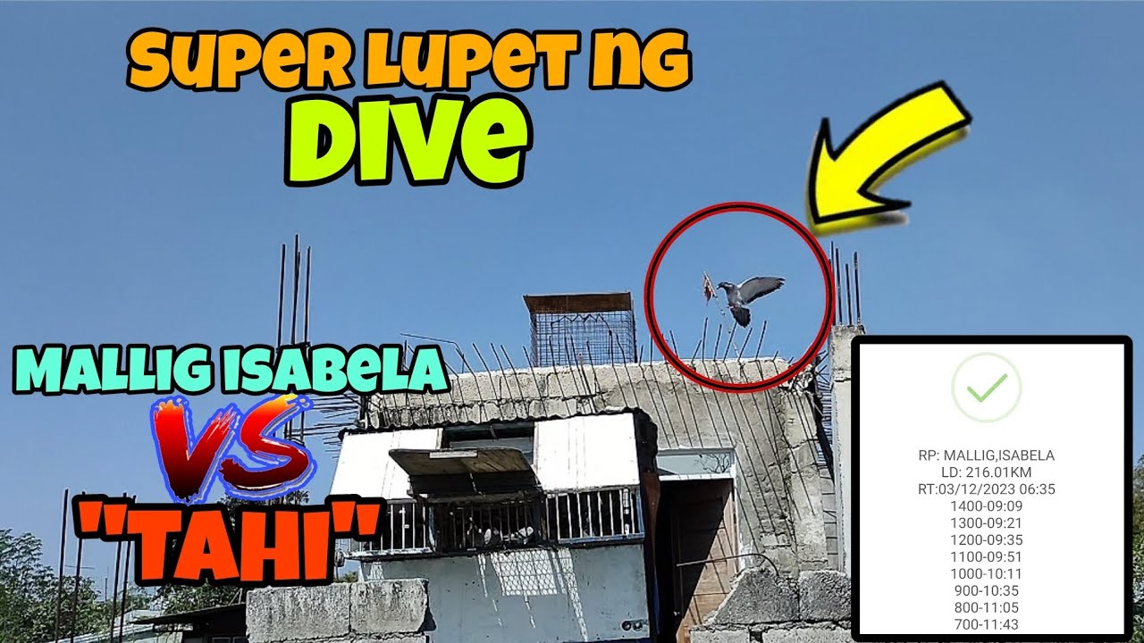 ARRIVAL OF SOLO ENTRY 3RD LAP MALLIG ISABELA!! | @GWAPSTVOFFICIAL - YouTube