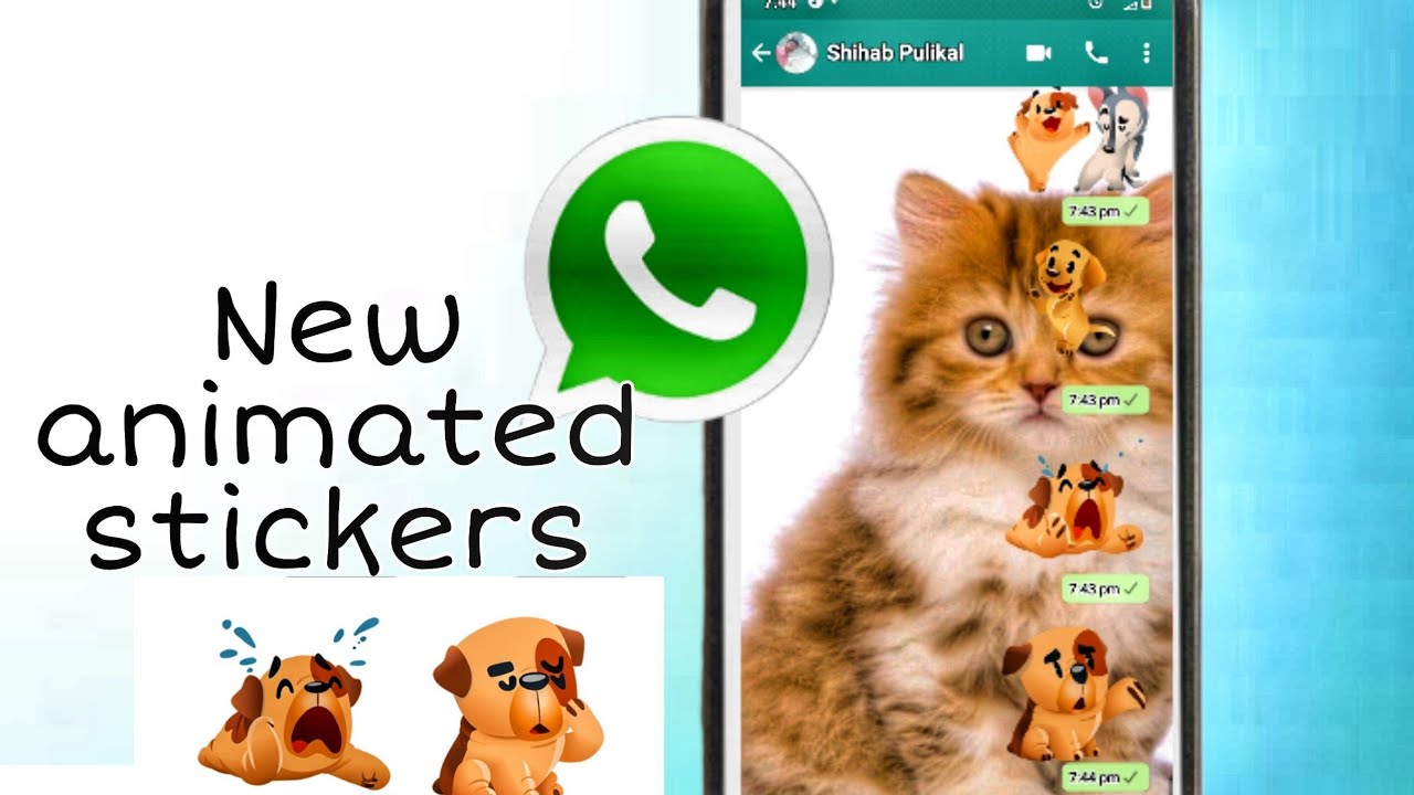 How to Download WhatsApp animated stickers ||How to get WhatsApp new ...