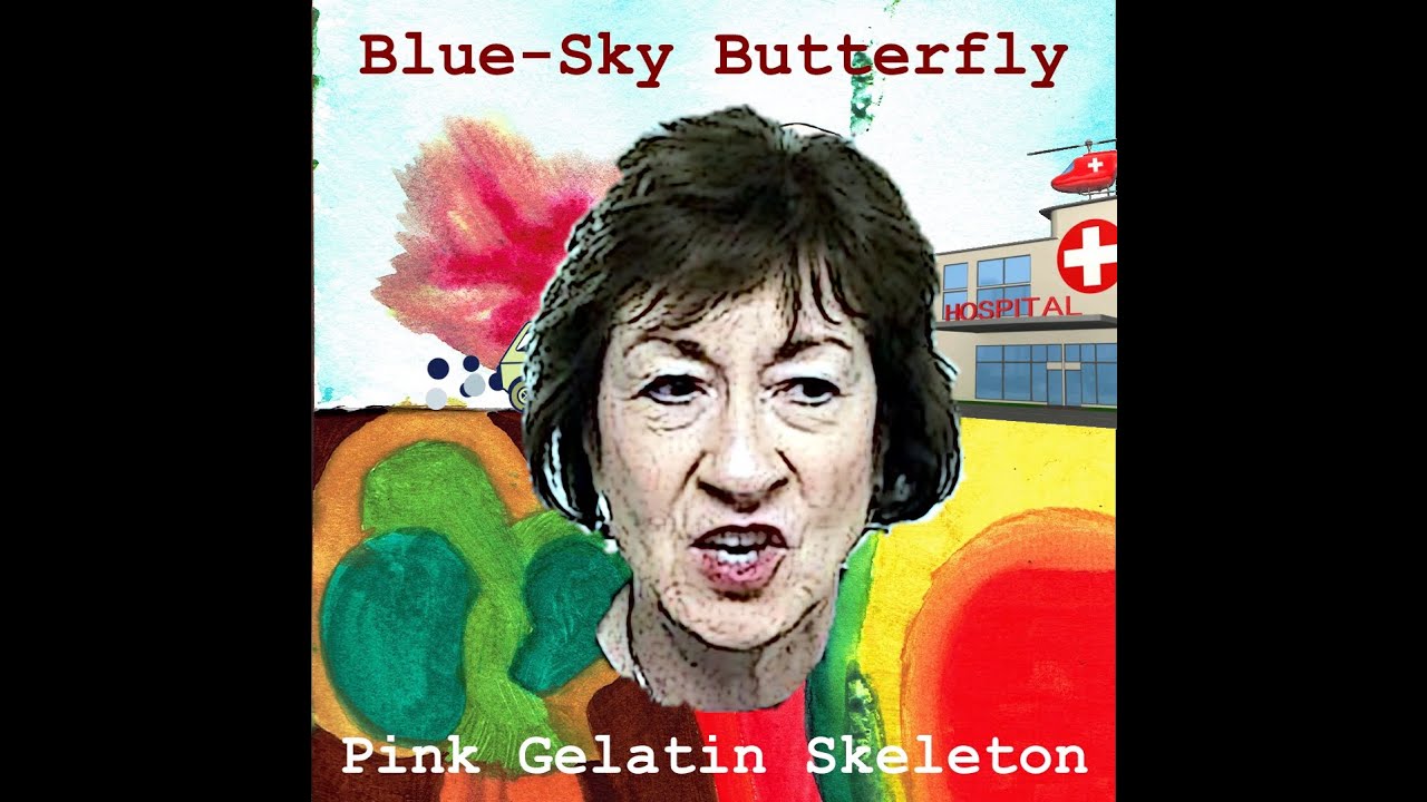 Pink Gelatin Skeleton - "Susan (the Susan Collins Song.)" - YouTube
