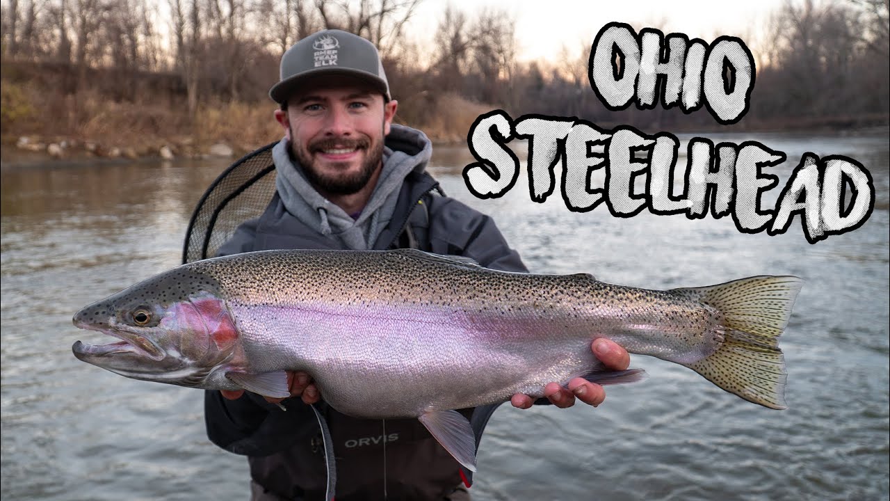 Epic Ohio Steelhead Fishing! - YouTube
