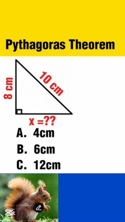 Unlock the Power of the Pythagorean Theorem in Just 60 Seconds! - YouTube