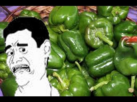 Top 10 Alimentos mas amargos del mundo-Loquendo - YouTube