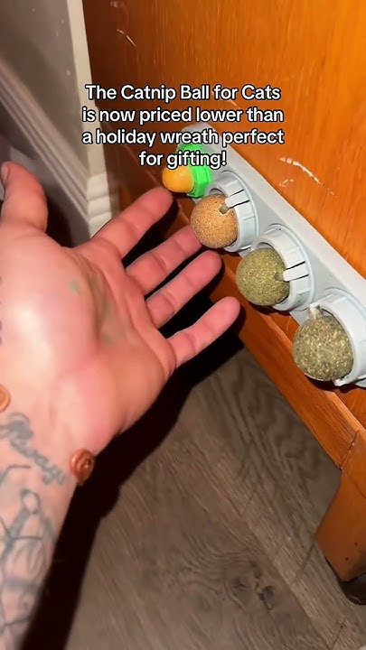 Affordable Fun for Your Furry Friend! #catnip #cattoys #cats - YouTube