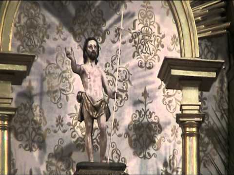 Pie pellicane.mpg - YouTube